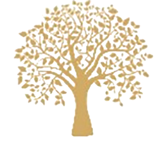 Home - The Forest View Hotel Rishikesh India